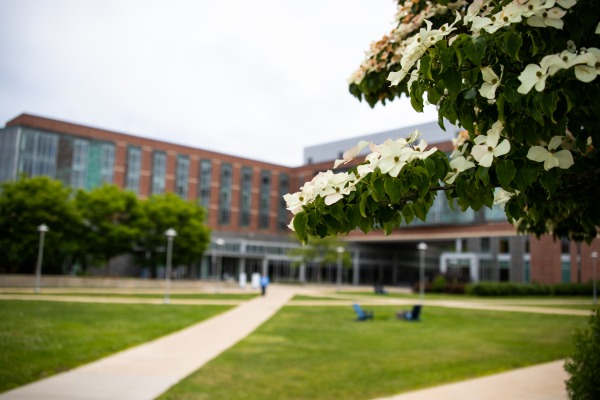 Accepted Students | Salem State University